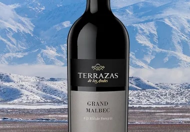 Terrazas de los Andes Malbec 2020 | Mendoza Wine